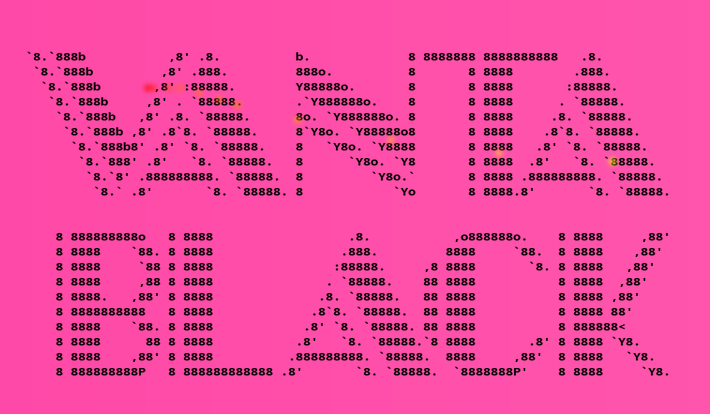 vanta black work portfolio